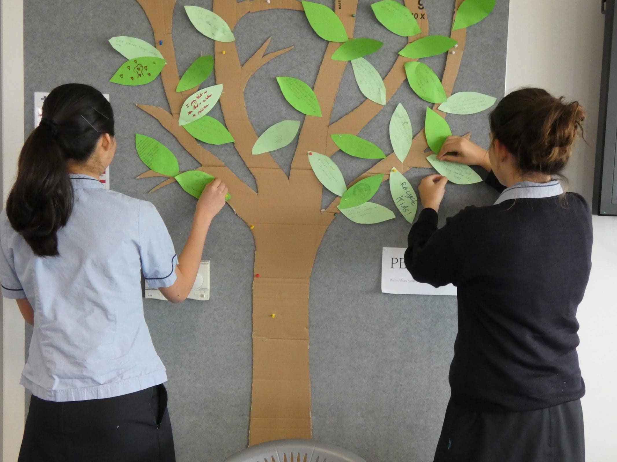 A commitment to peace is a commitment to our planet | Sancta Maria College