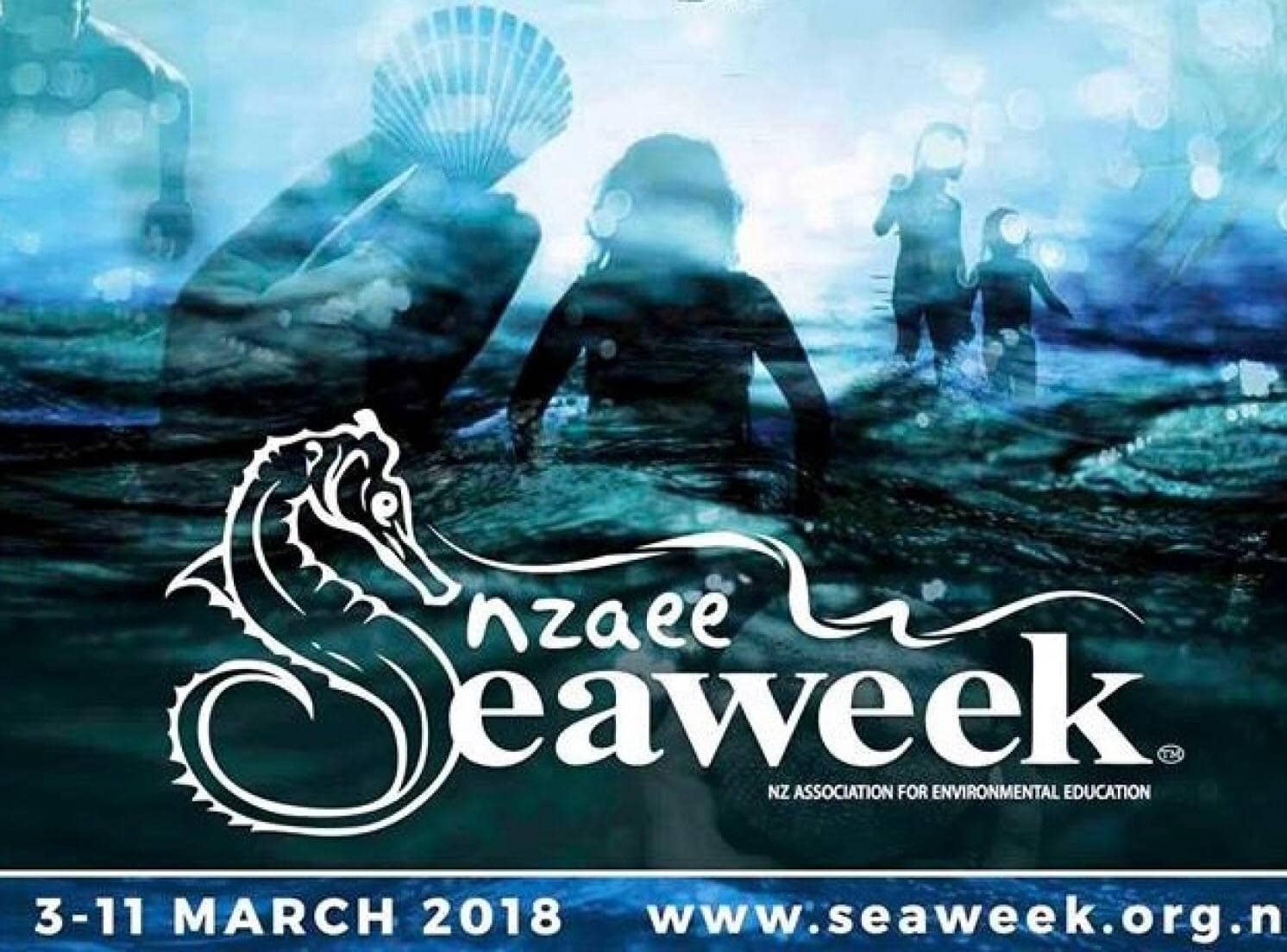 Sea Week | Sancta Maria College