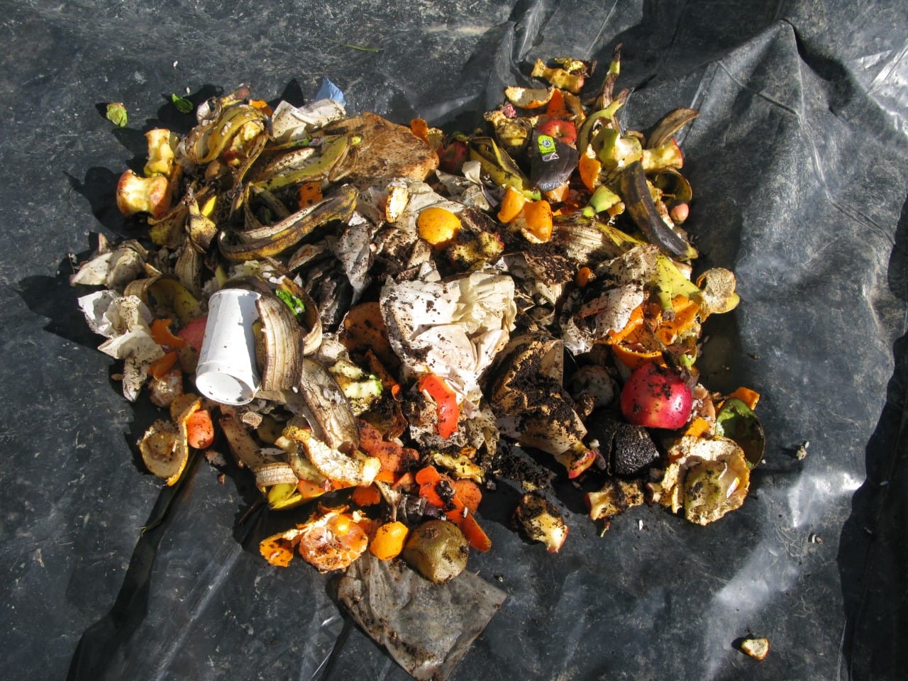 Waste Audit | Sancta Maria College