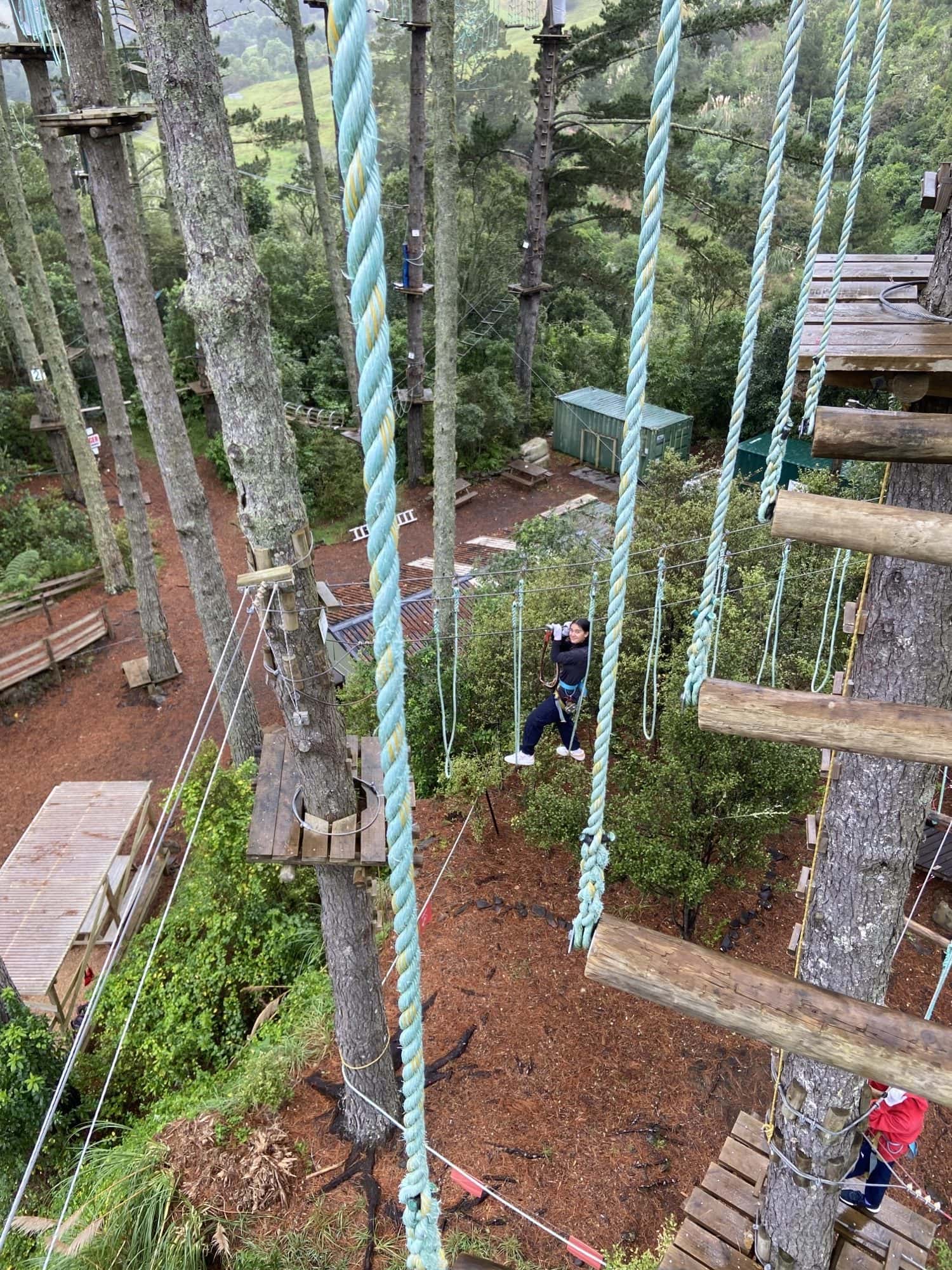 Year 11 PES Adrenalin Forest | Sancta Maria College