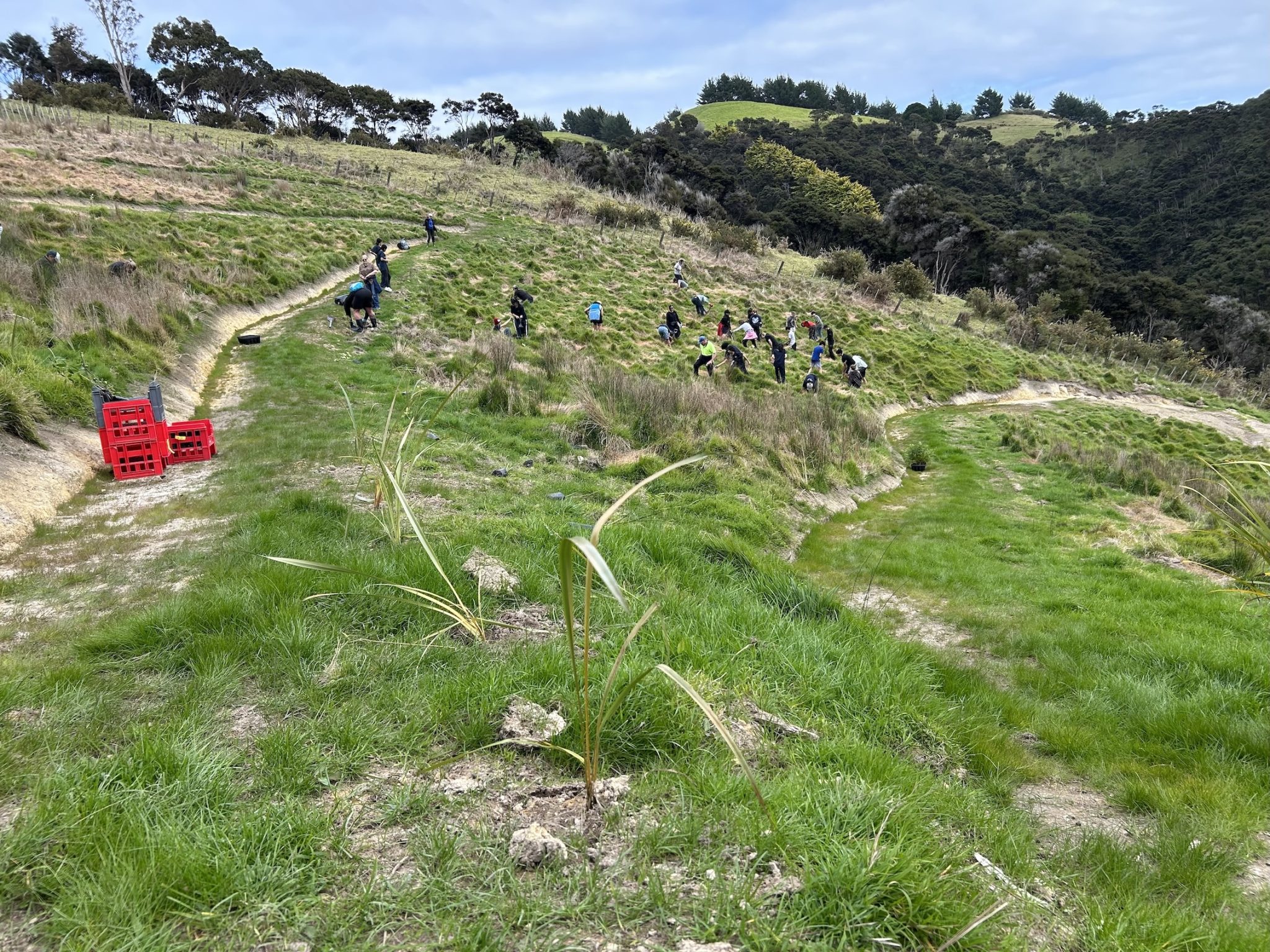 Tress for Survival programme reminds 9MAC that small actions can have a ...